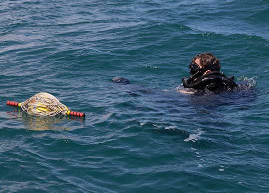 Aussie and US Navy Do Good at Dugong - Australian Security Magazine